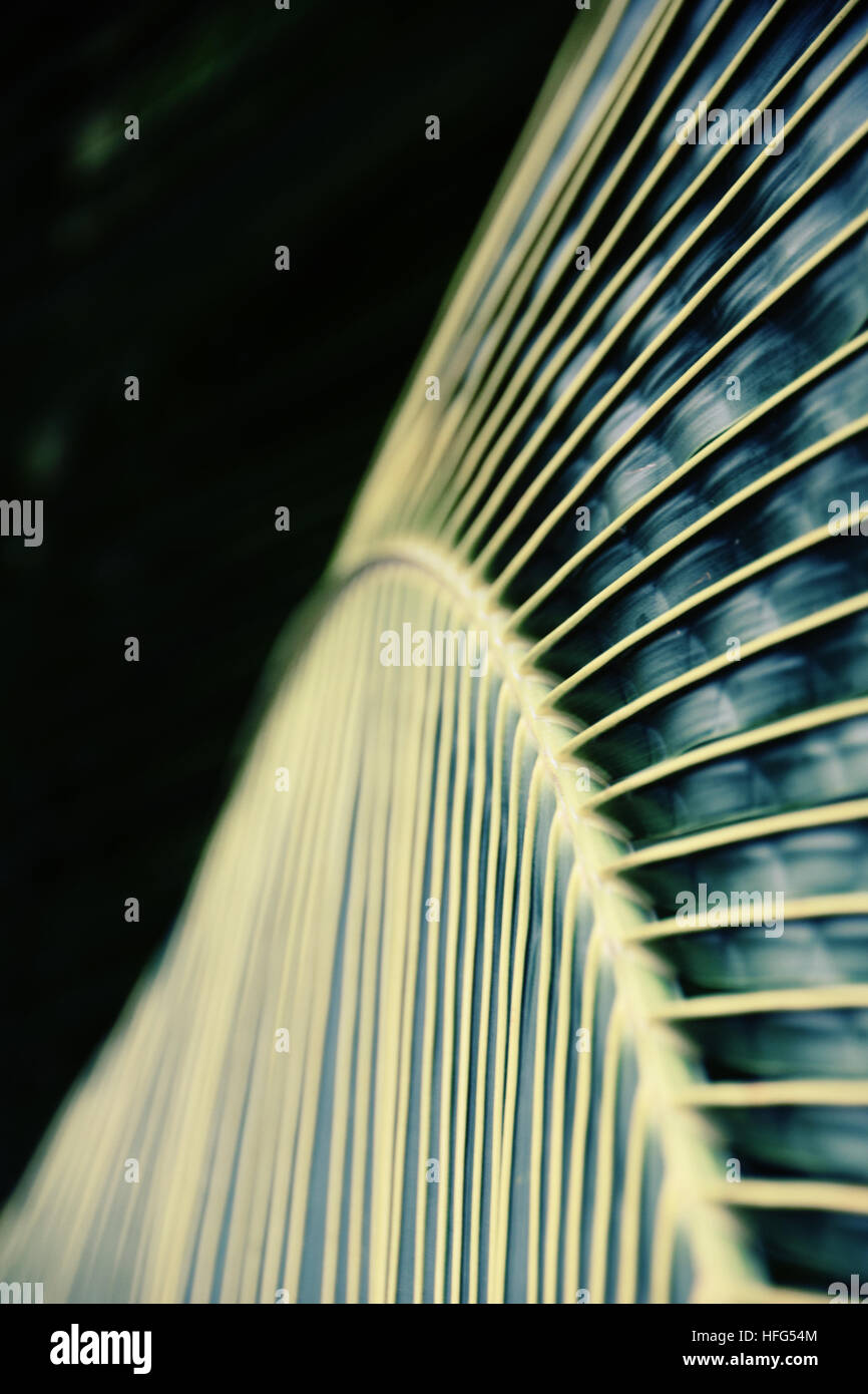 Linear ridges hi-res stock photography and images - Alamy