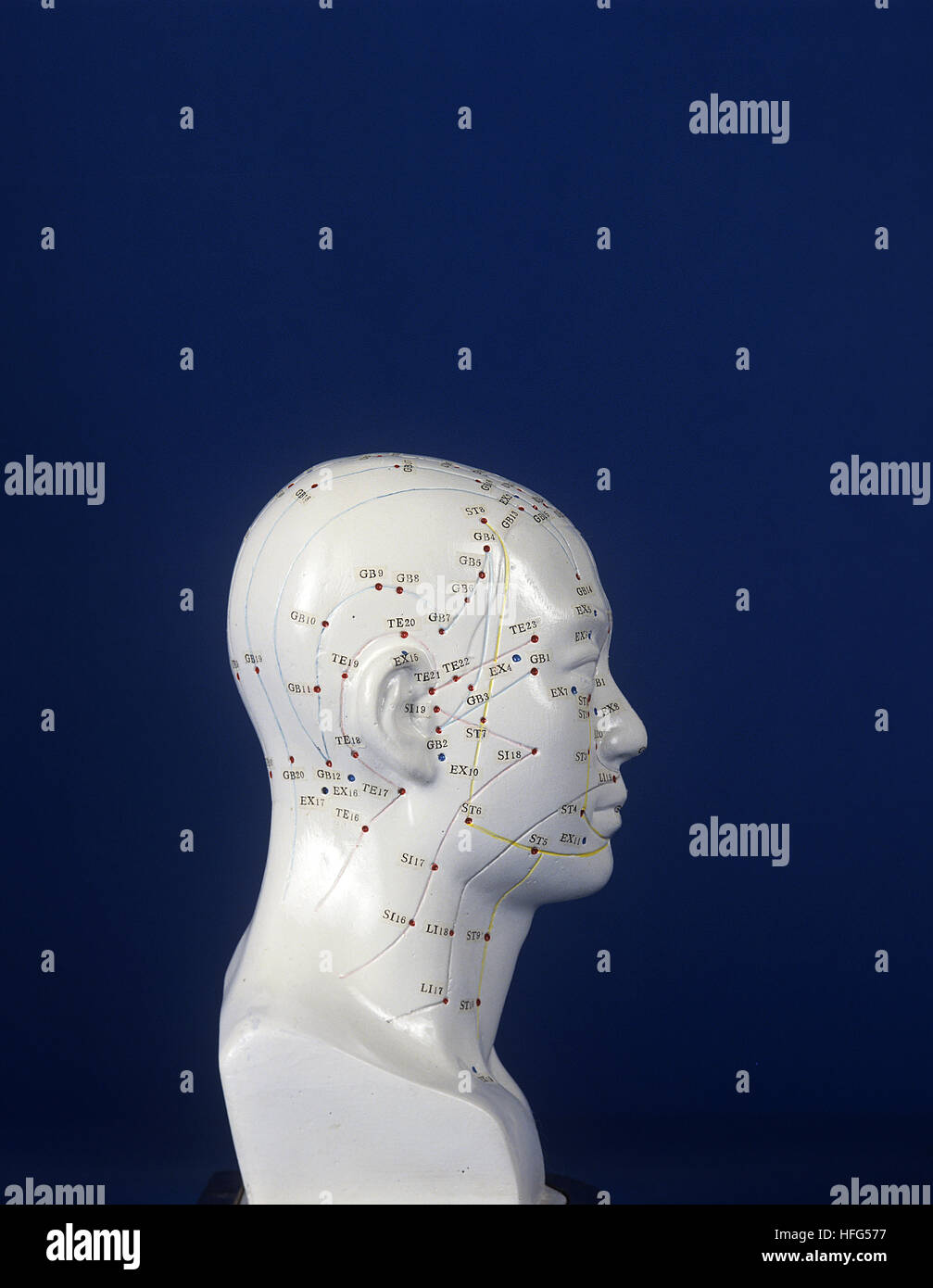 Head for Acupuncture Stock Photo - Alamy