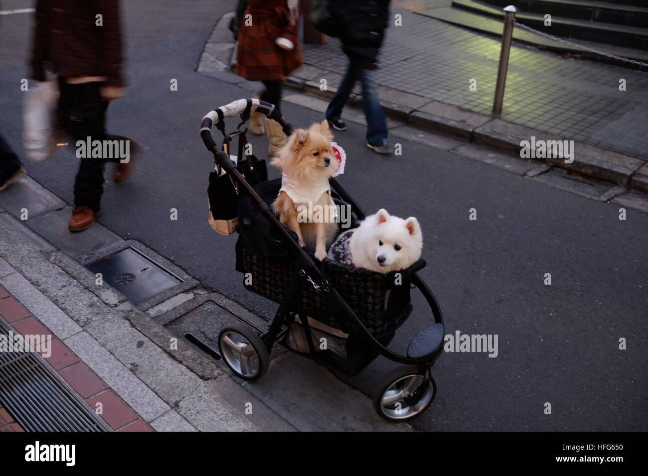 Daily life in Tokyo, Japan Stock Photo - Alamy