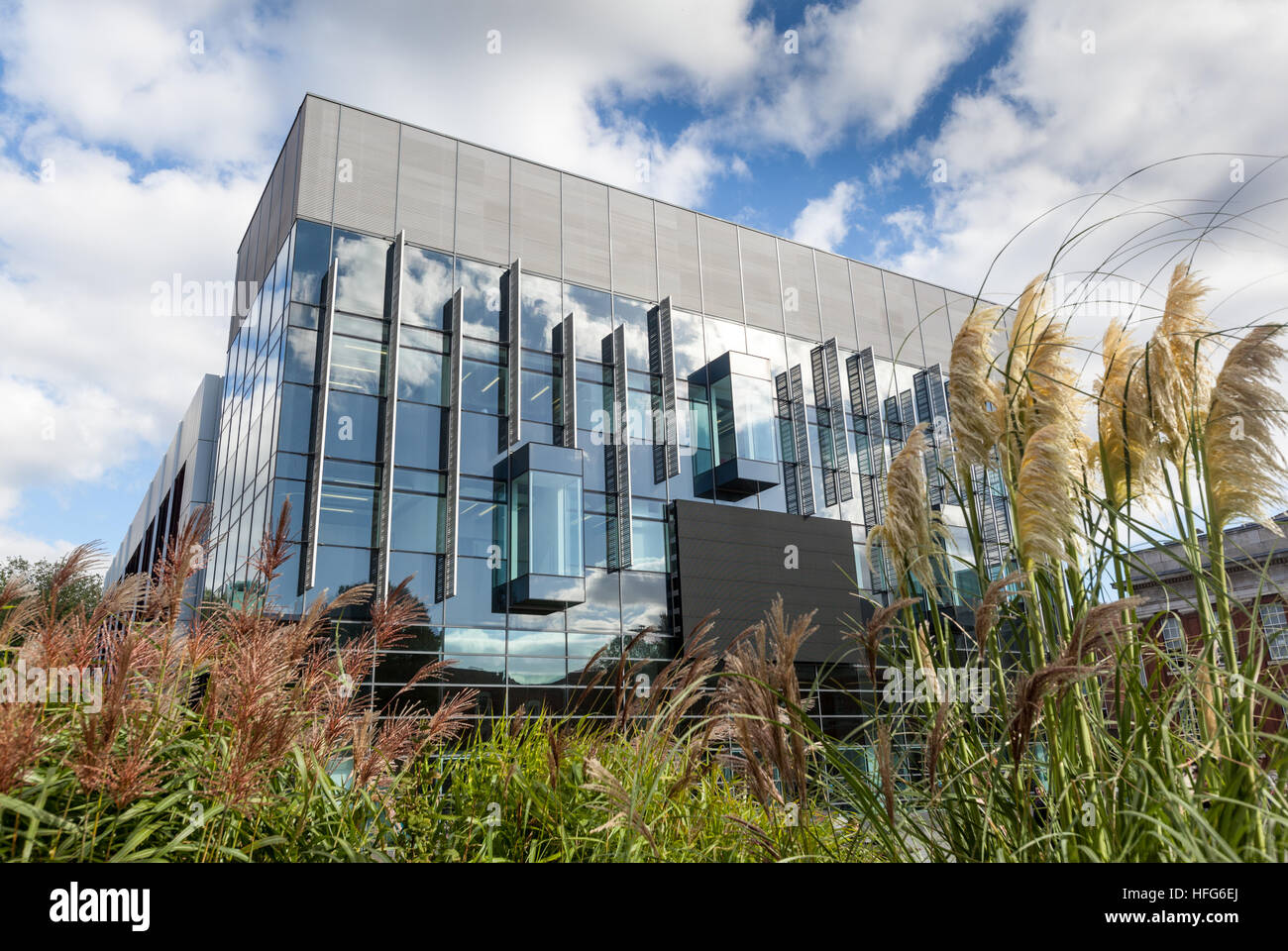 Alan Gilbert Learning Commons, The University of Manchester UK Stock ...