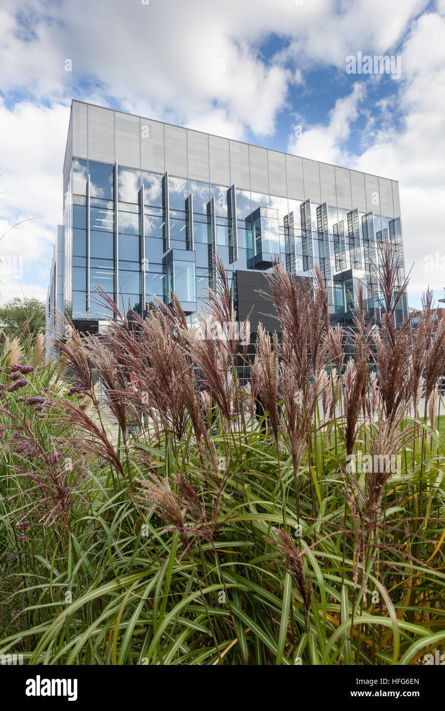 Alan gilbert learning commons hi-res stock photography and images - Alamy