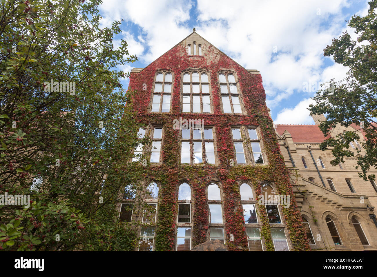 Vines in autumn on Beyer Building in Old Quadrangle, The University of ...
