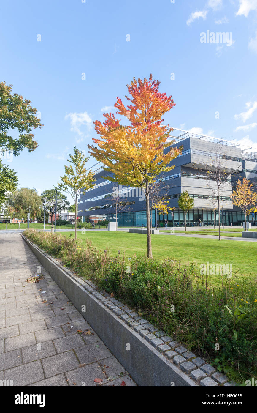 Turing of the leaves hi-res stock photography and images - Alamy