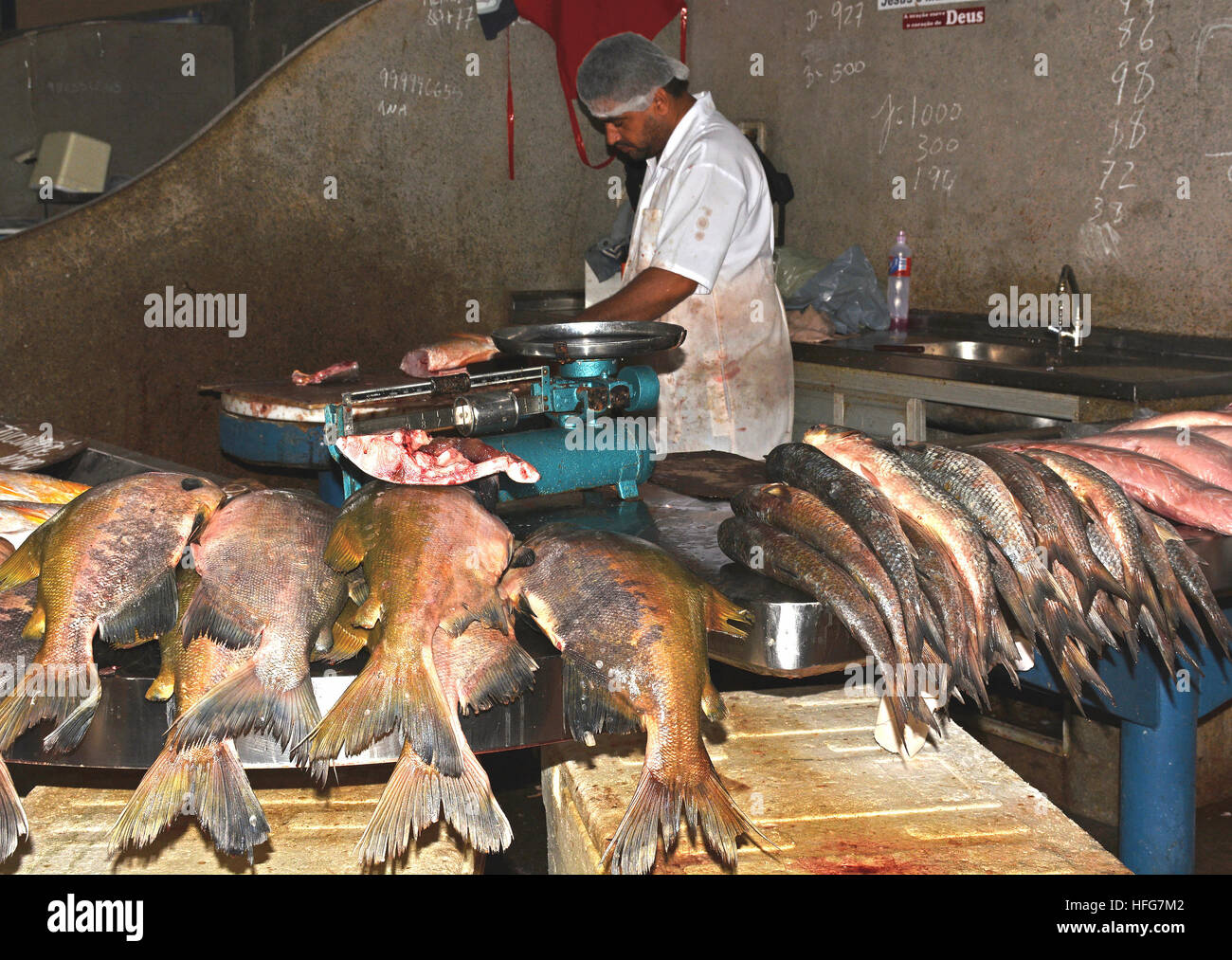 Belem brazil fish market hi-res stock photography and images - Alamy
