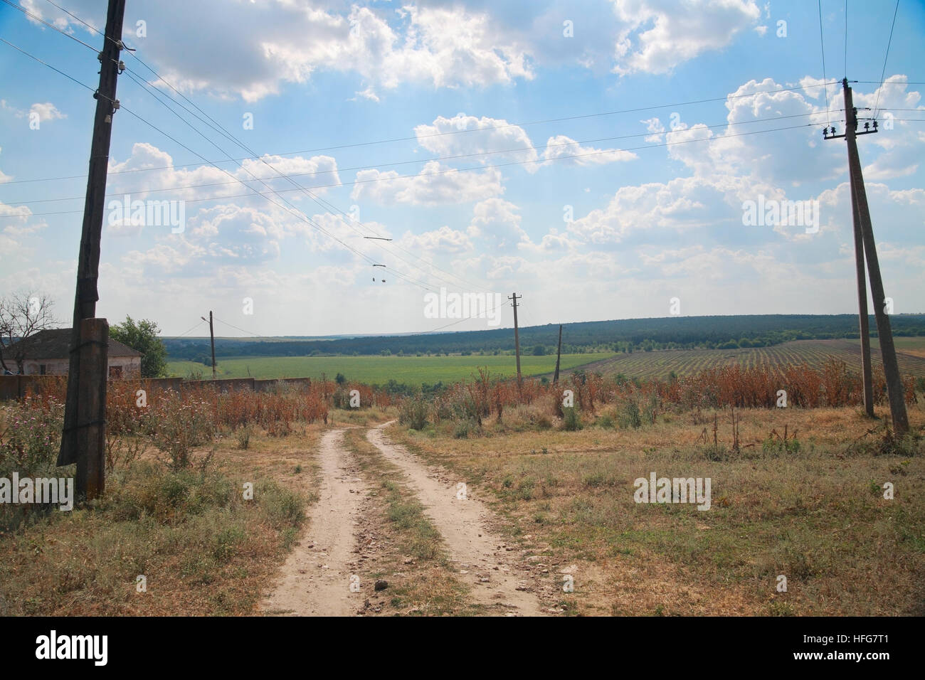 Rural landscape, rural road leaving in fields Stock Photo - Alamy