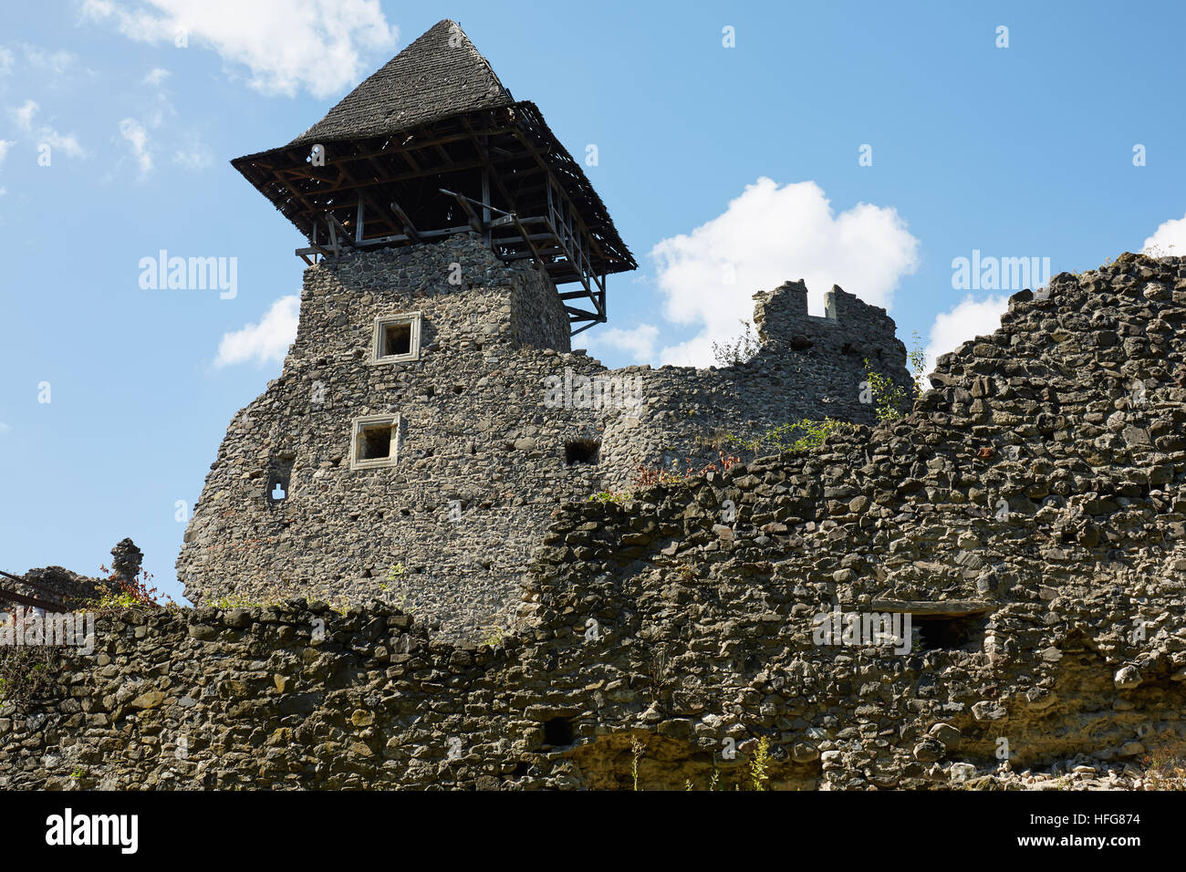 Ruins of the Nevitsky castl. The castle was built in the 13th century ...