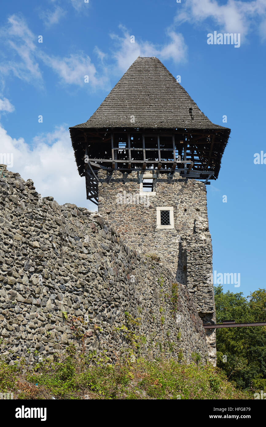 Ruins of the Nevitsky castl. The castle was built in the 13th century ...