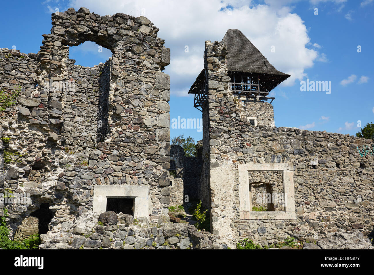 Ruins of the Nevitsky castl. The castle was built in the 13th century ...