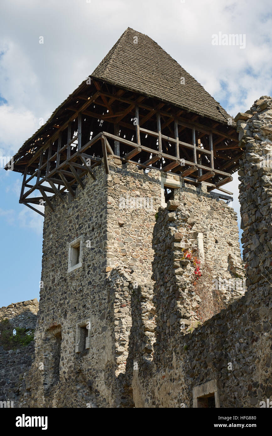 Ruins of the Nevitsky castl. The castle was built in the 13th century ...