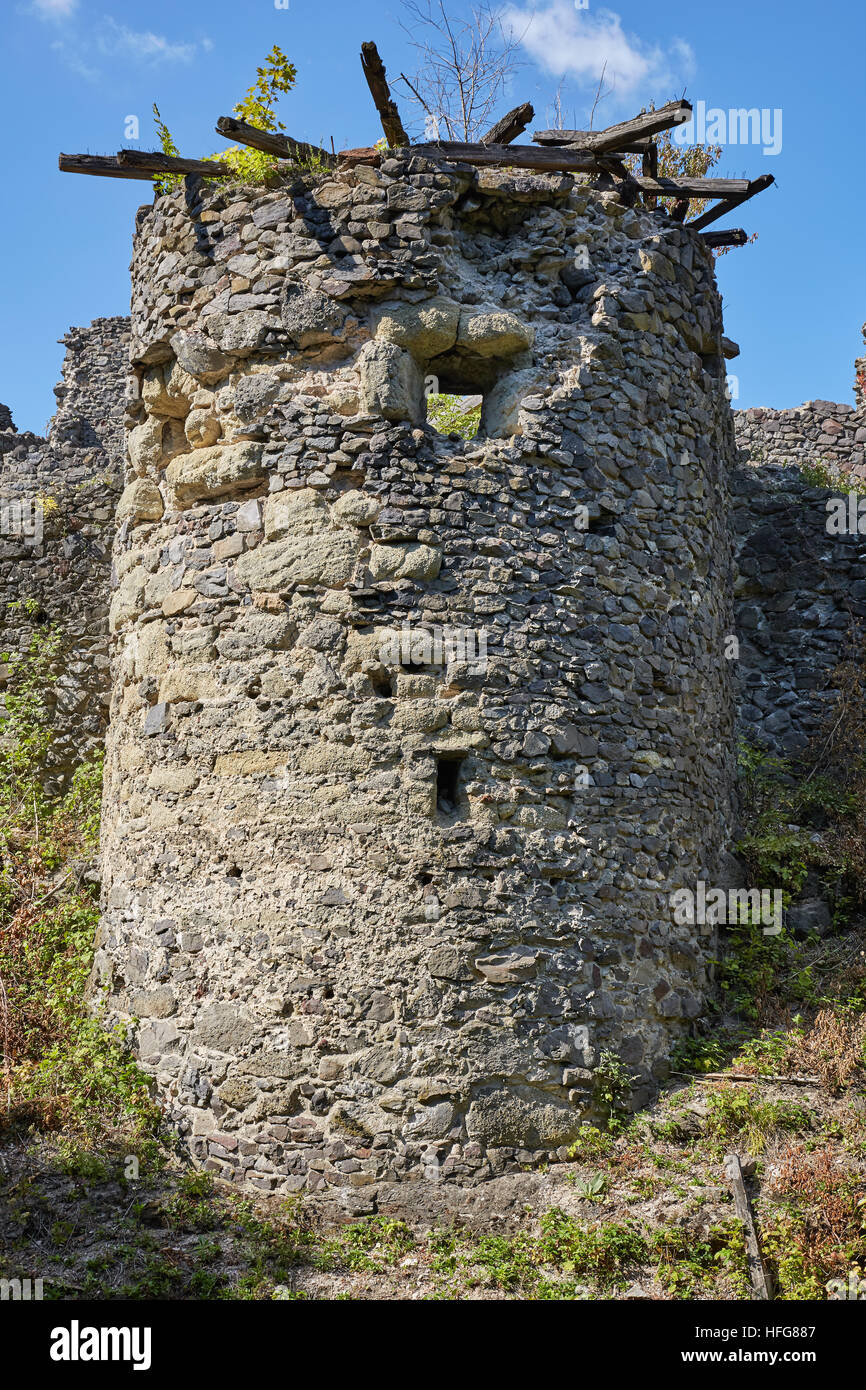 Ruins of the Nevitsky castl. The castle was built in the 13th century ...