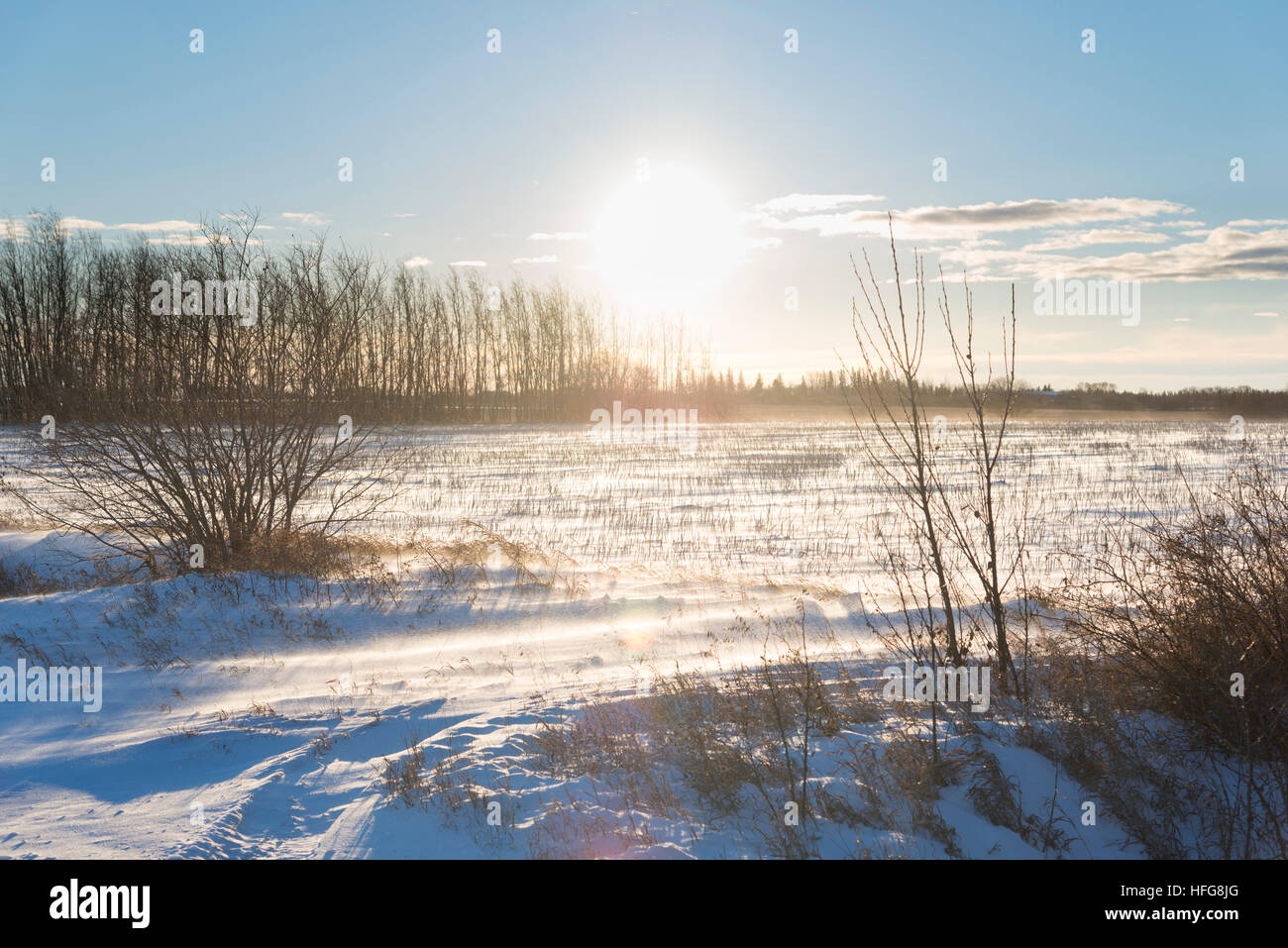 Windy cold day hi-res stock photography and images - Alamy