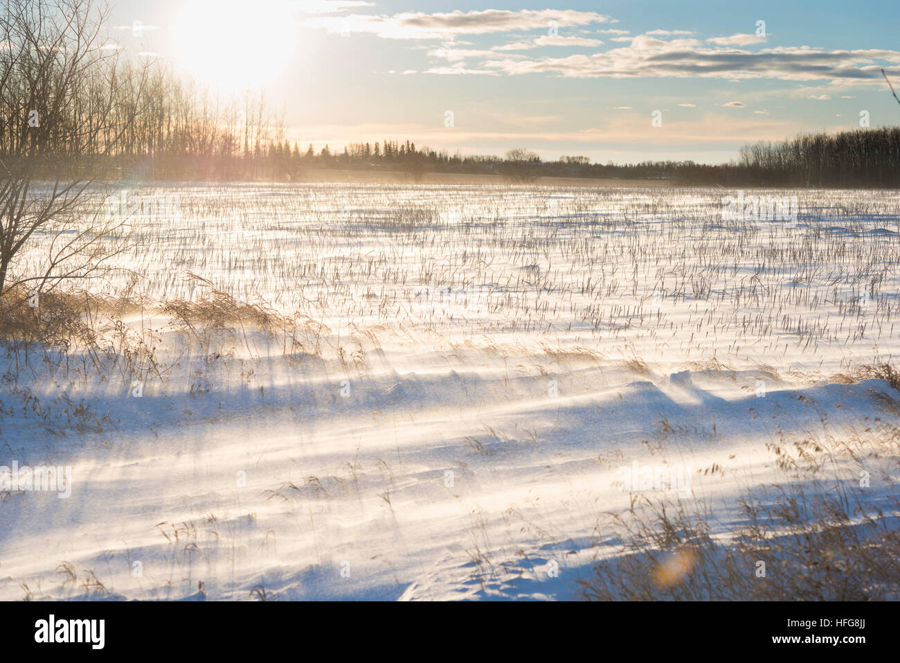 Day of the sun hi-res stock photography and images - Alamy