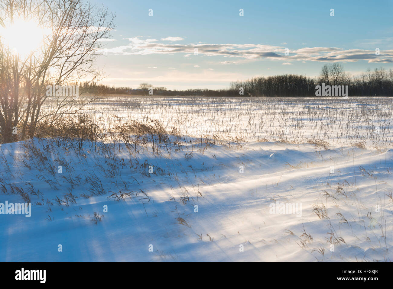 Day of the sun hi-res stock photography and images - Alamy