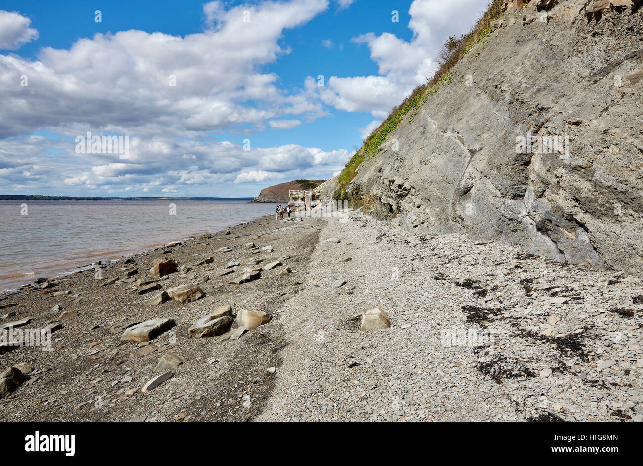 Joggins Fossil Cliffs, Nova Scotia, Canada Stock Photo - Alamy