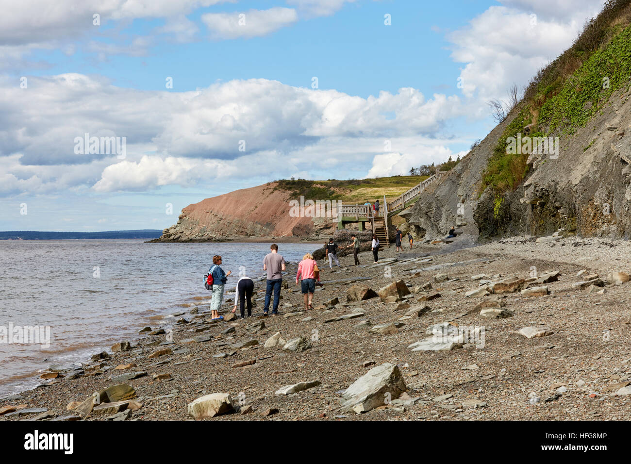 Joggins Fossil Cliffs Stock Photos & Joggins Fossil Cliffs Stock Images ...