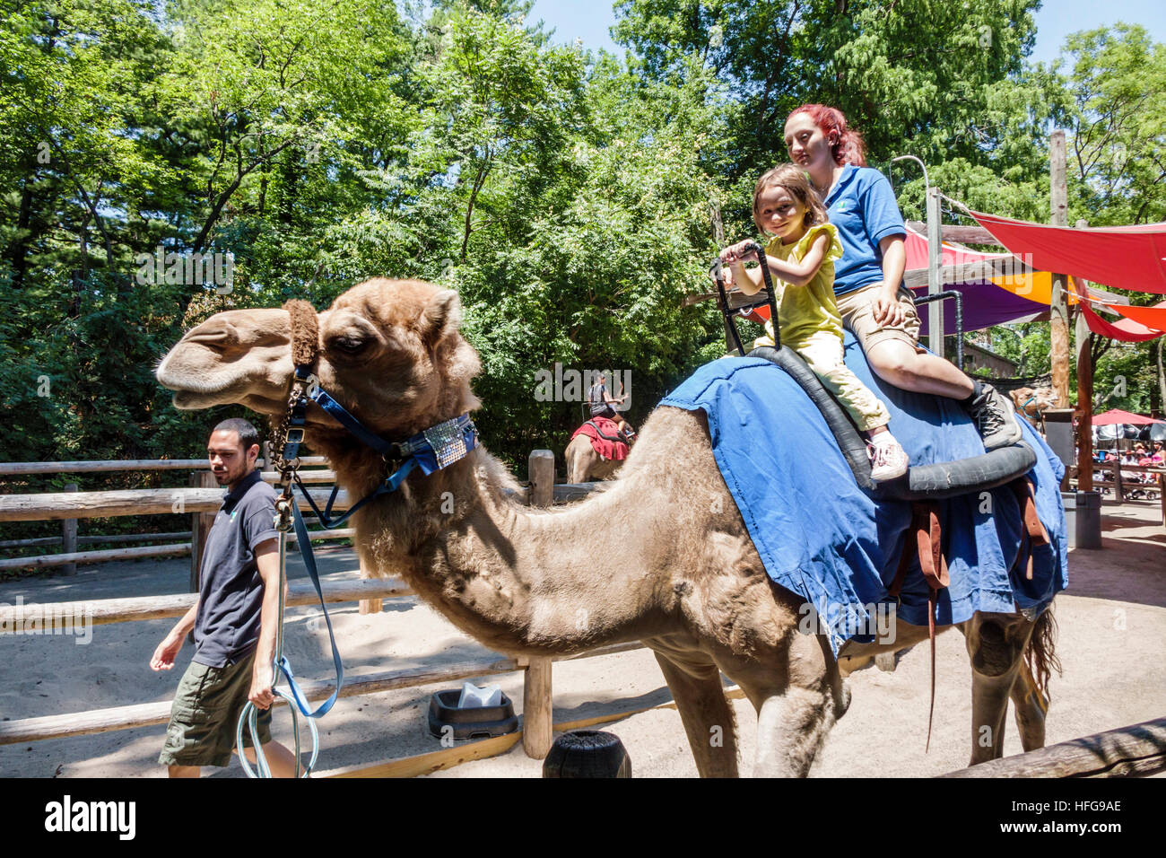 New York City,NY NYC,Bronx,Bronx Zoo,camel,animal,ride,riding,zookeeper ...