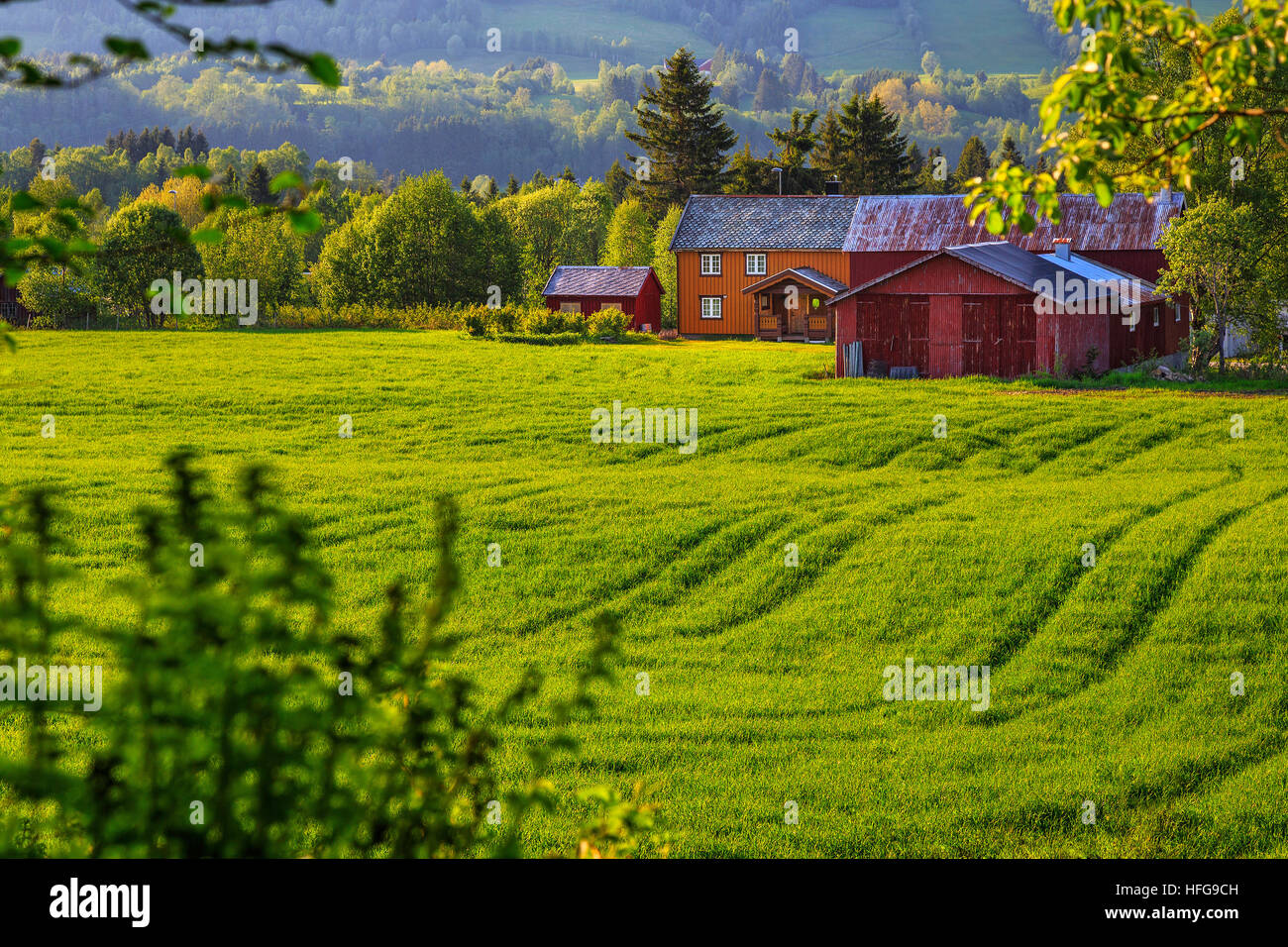 Rindal hi-res stock photography and images - Alamy