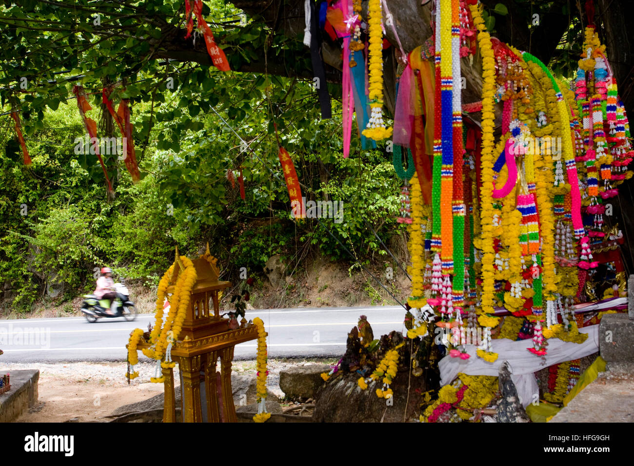 Tree spirit for road safety Stock Photo - Alamy