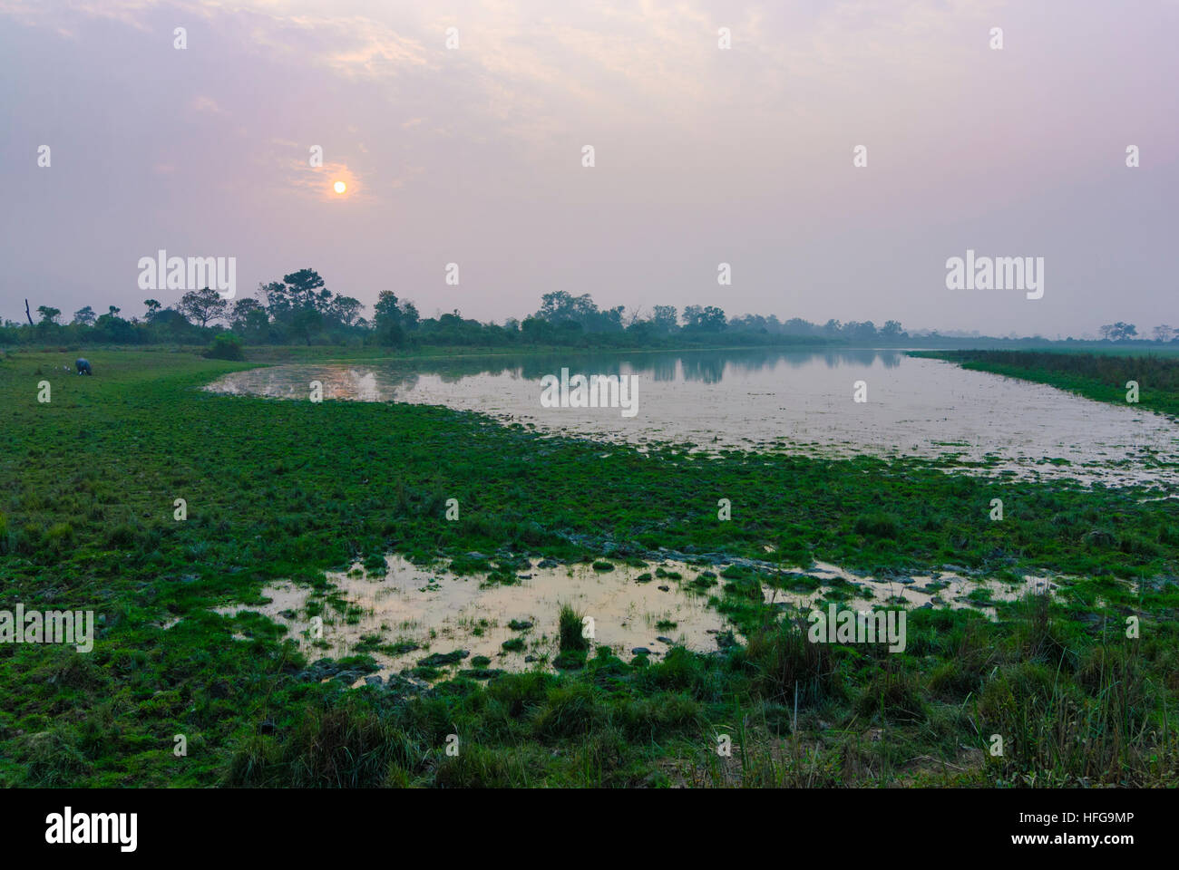 Kaziranga National Park: lake, Assam, India Stock Photo - Alamy