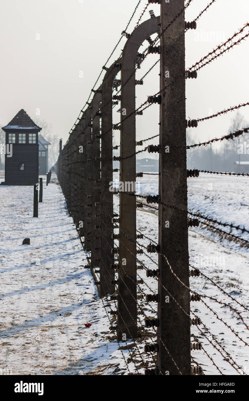 Auschwitz II-Birkenau, just like Auschwitz I was surrounded with ...