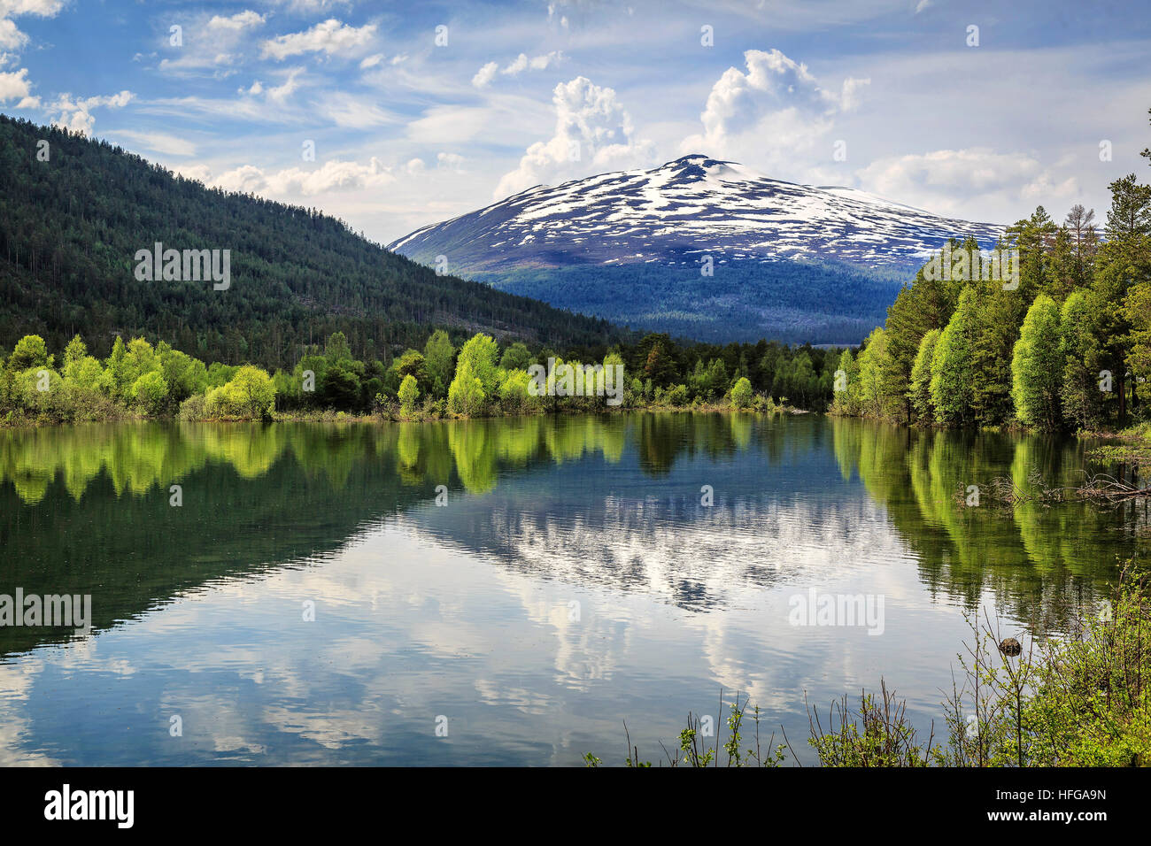 Otta hi-res stock photography and images - Alamy