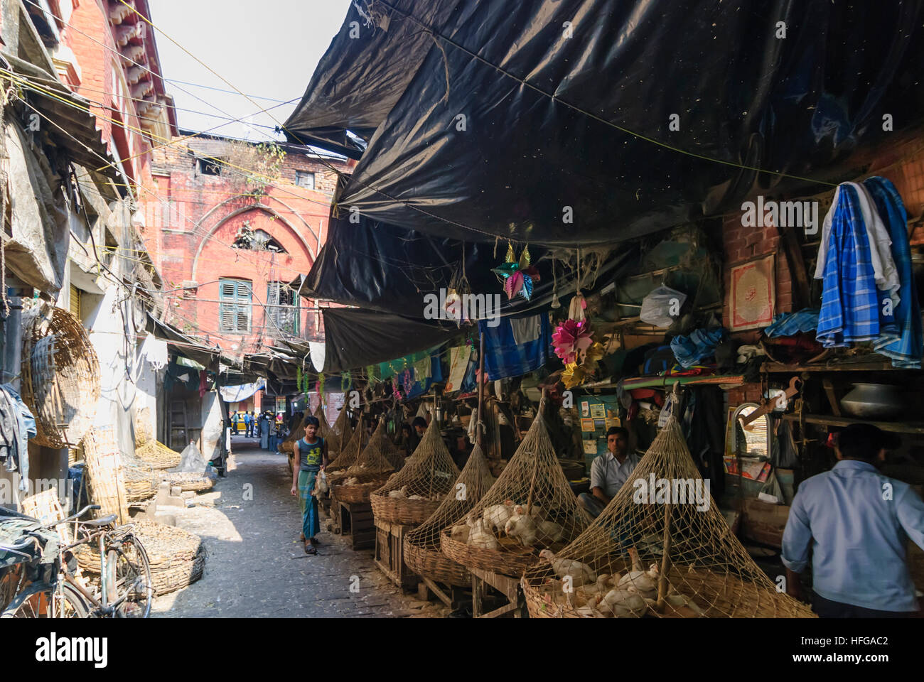 Hogg market kolkata hi-res stock photography and images - Alamy