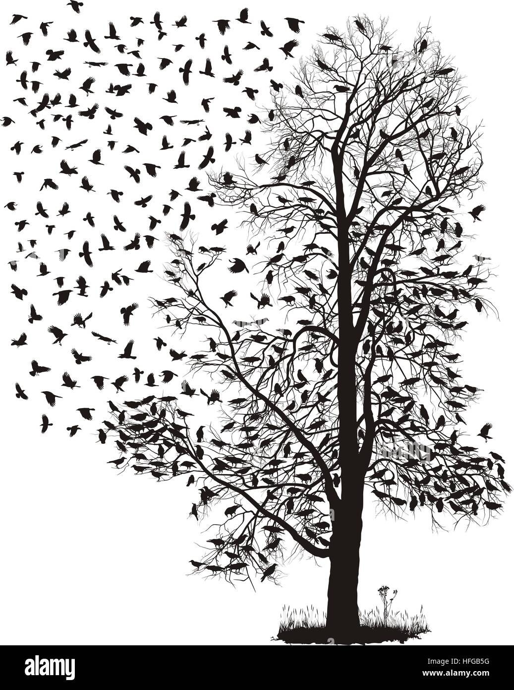 Crows fly away from the tree Stock Photo - Alamy