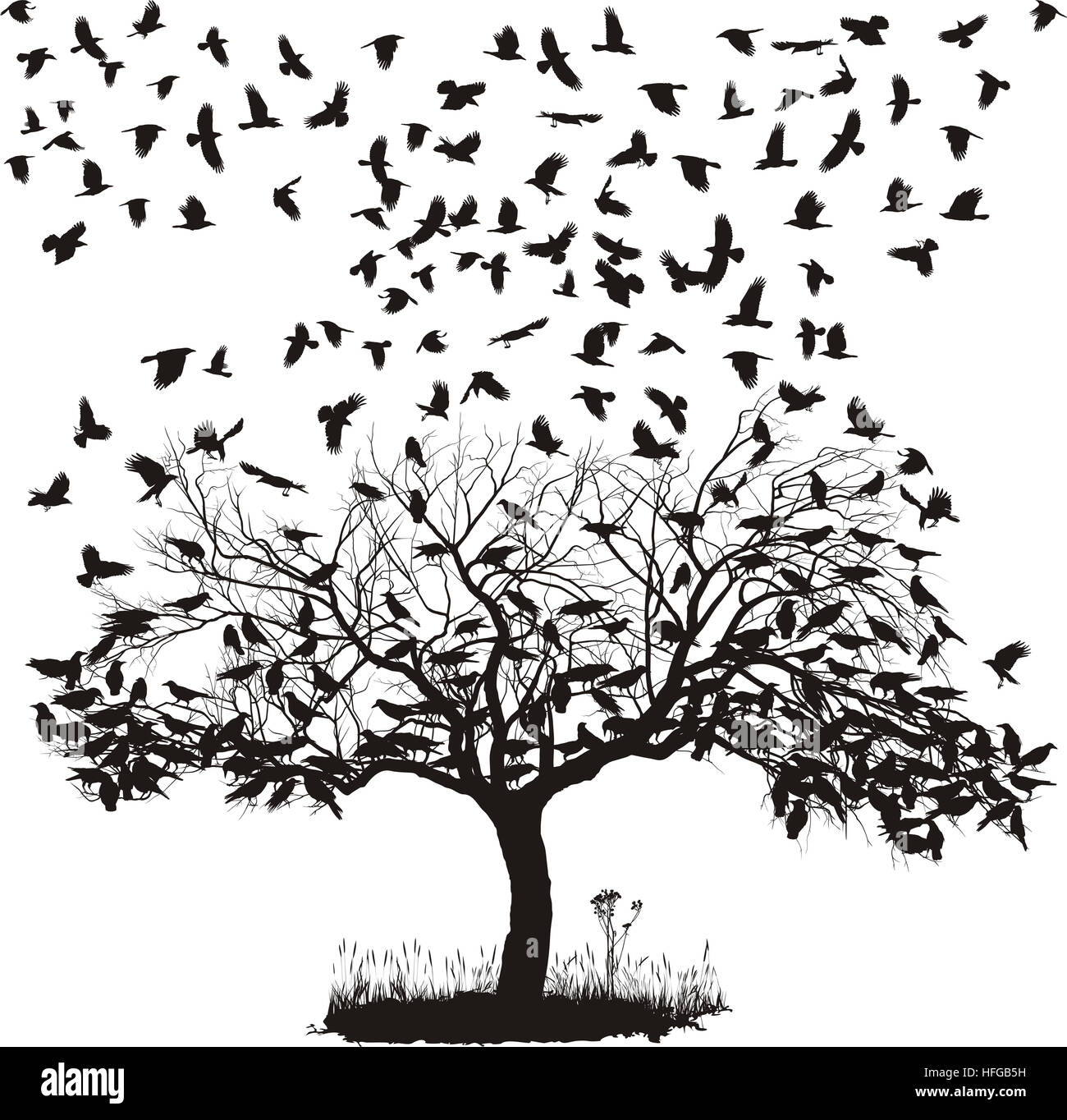 Crows in a tree Stock Photo - Alamy