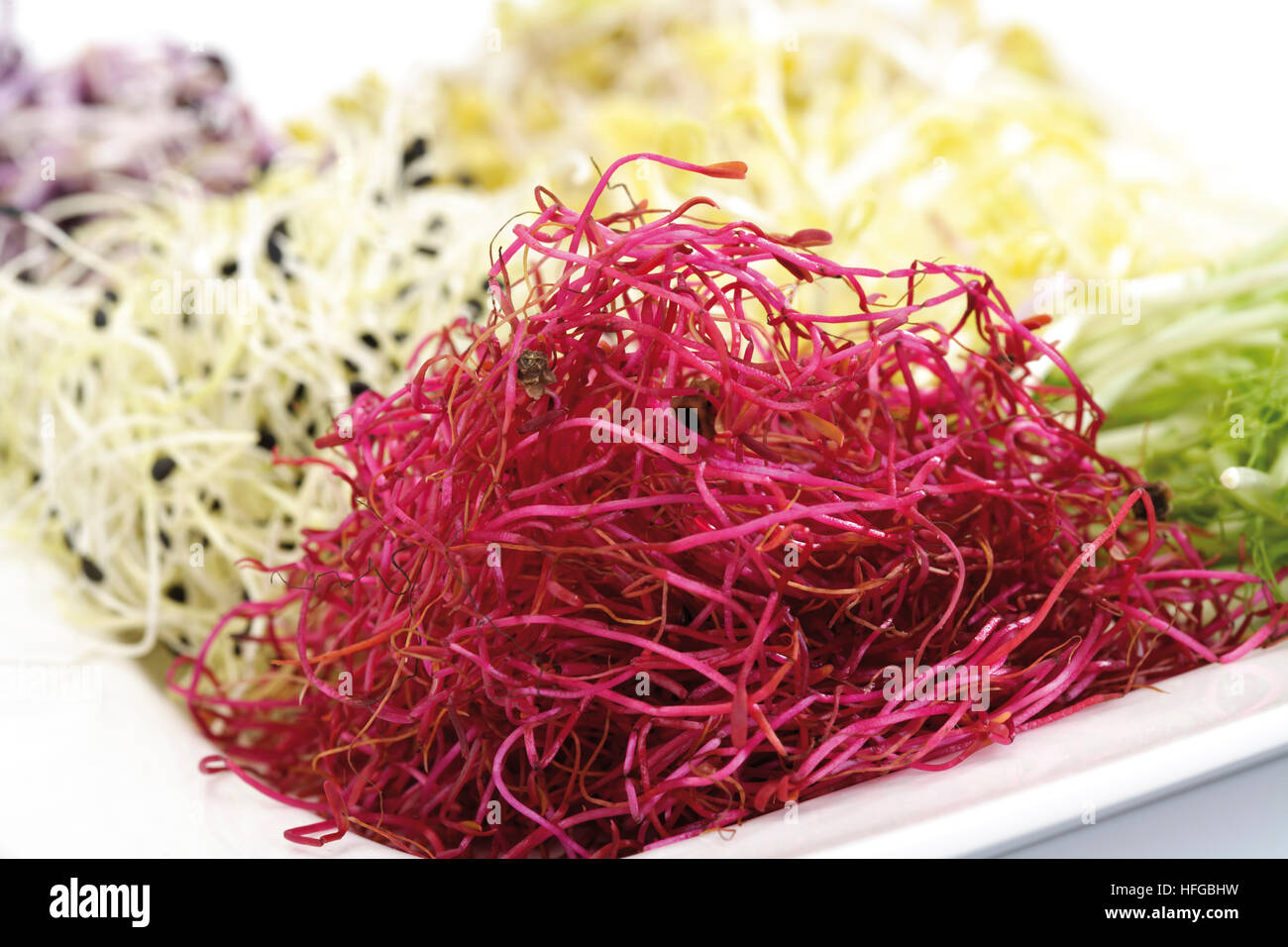 Beetroot sprouts hi-res stock photography and images - Alamy