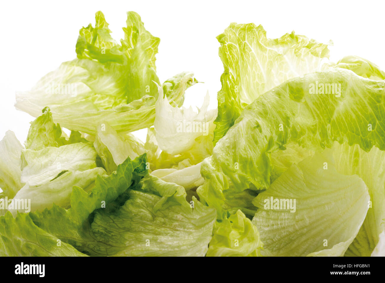 Iceberg lettuce, format-filling Stock Photo - Alamy