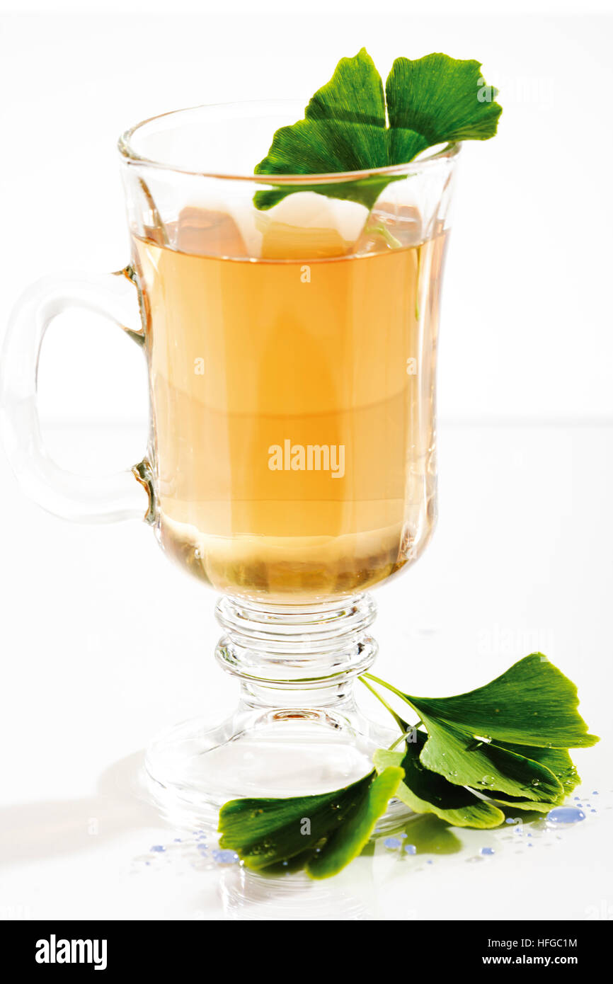 Gingko tea with Gingko leaves (Ginkgo biloba Stock Photo - Alamy