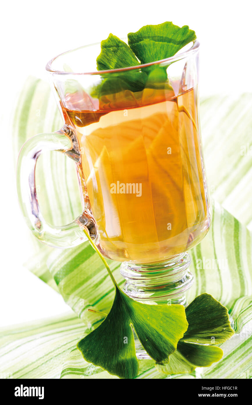 Gingko tea with Gingko leaves (Ginkgo biloba Stock Photo - Alamy