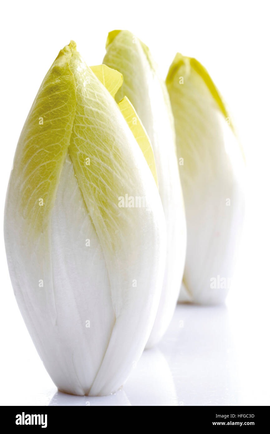 Endives (Cichorium endivia Stock Photo - Alamy