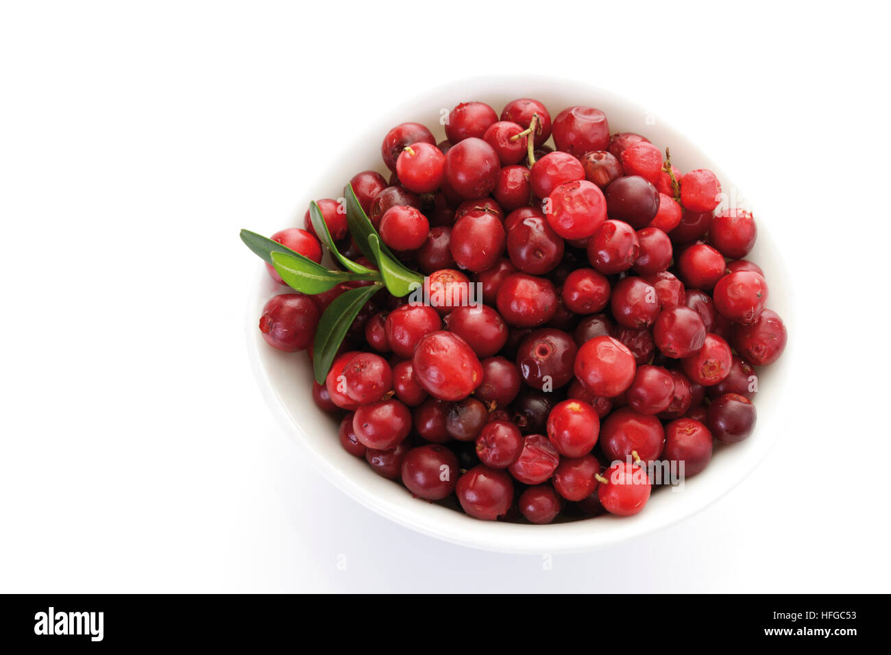Lingonberries or Cowberries (Vaccinium vitis-idaea Stock Photo - Alamy