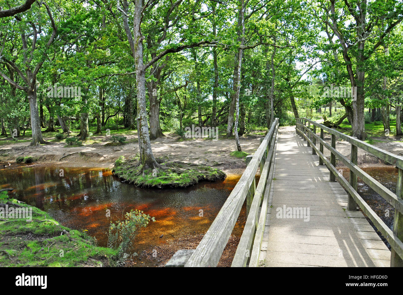 Puttles Bridge in the New Forest, National Park, Hampshire, England ...