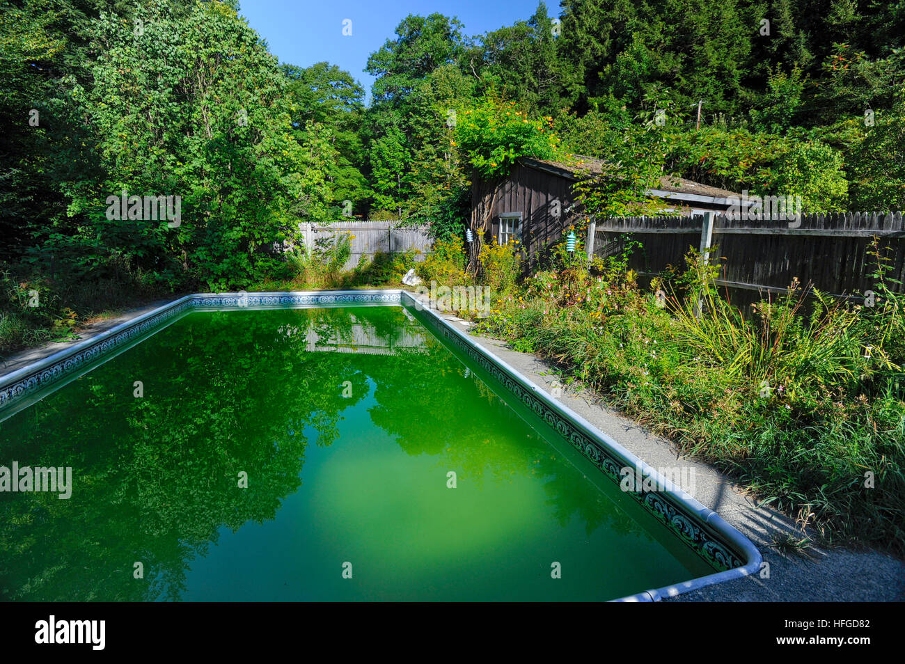 Algae green swimming pool negligence scum dirty unclean bacteria hi-res ...