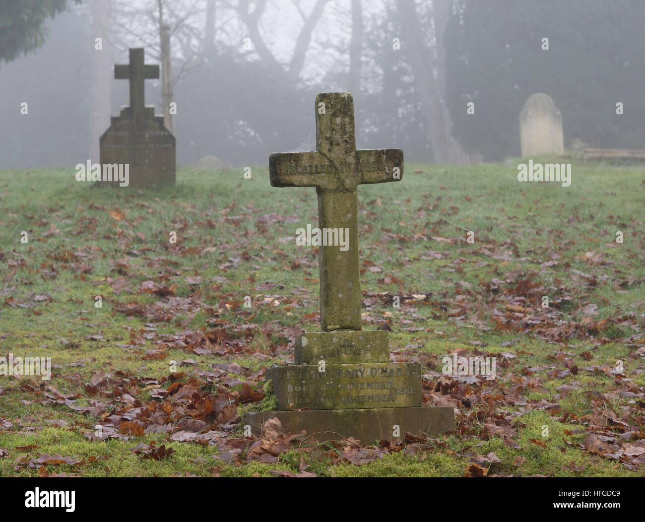 Royal victorian military cemetery hi-res stock photography and images ...
