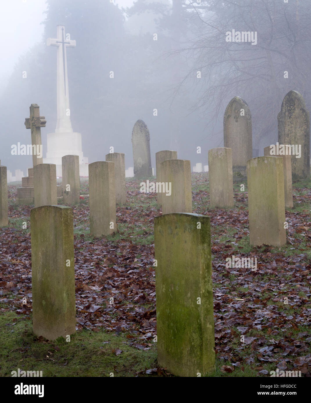 Military hospital cemetery hi-res stock photography and images - Alamy