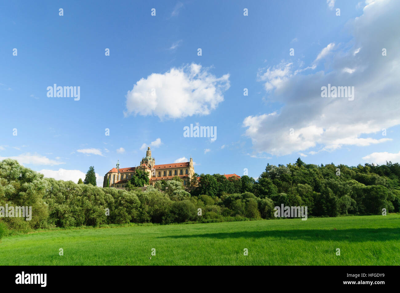 Kladruby hi-res stock photography and images - Alamy