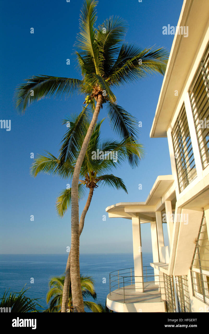 palm tree in Acapulco, Mexico Stock Photo - Alamy