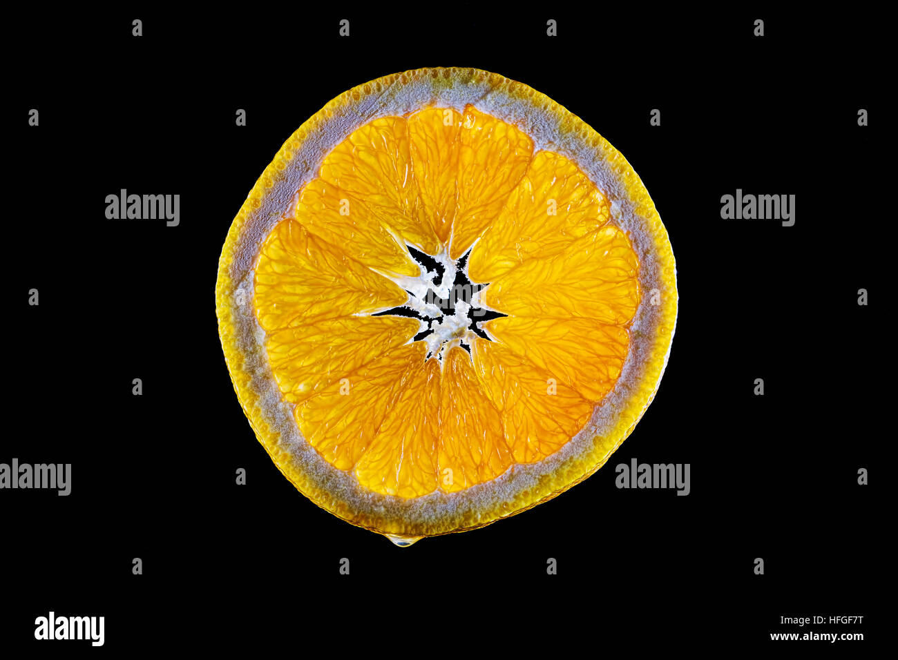 Orange slice back light, on black background Stock Photo - Alamy