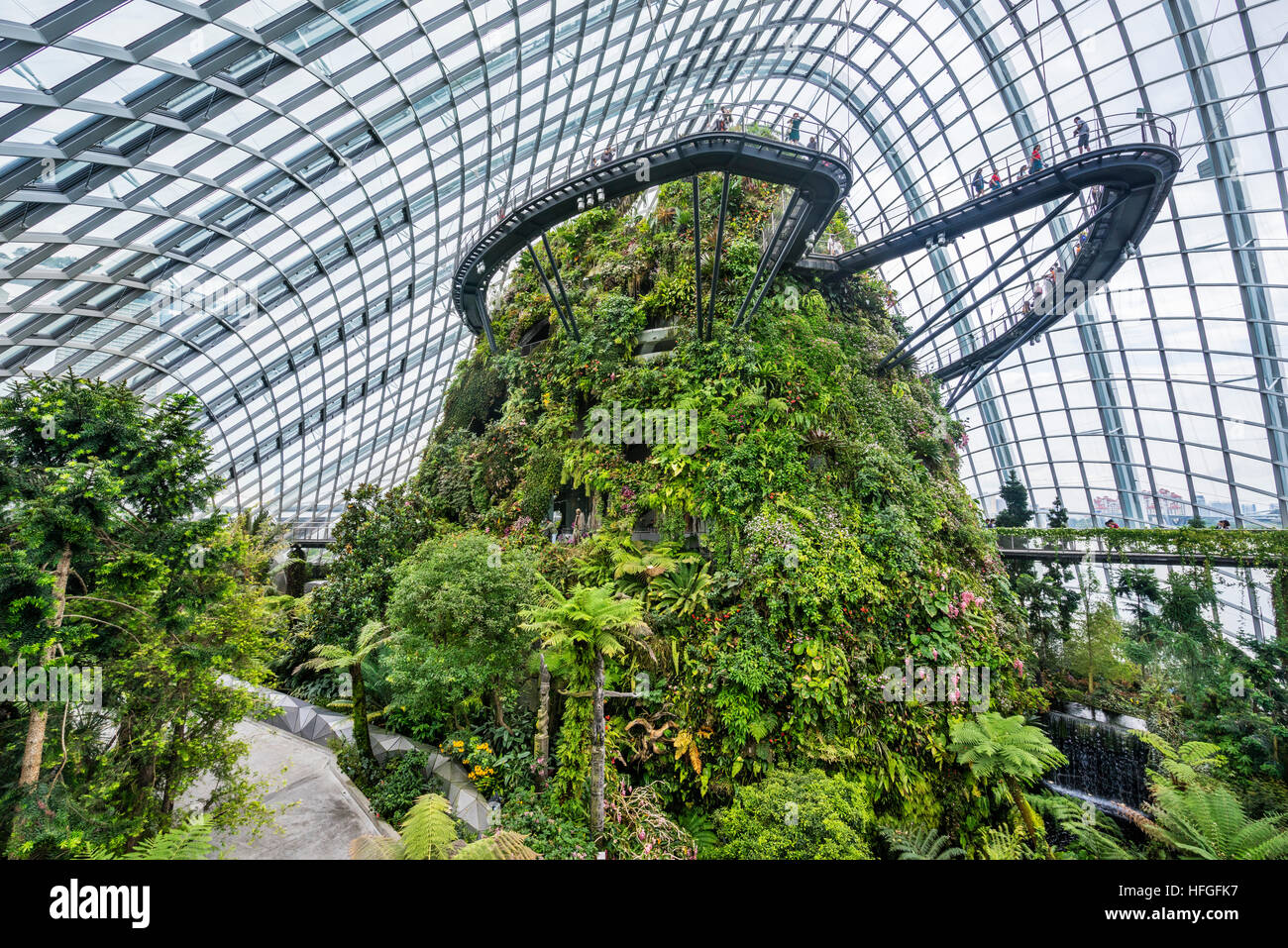 Treetop treetop hi-res stock photography and images - Alamy