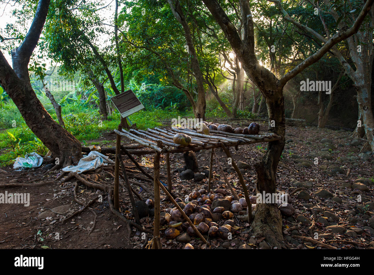 Garbage disposed of in the nature near the Rochester Falls, Mauritius ...