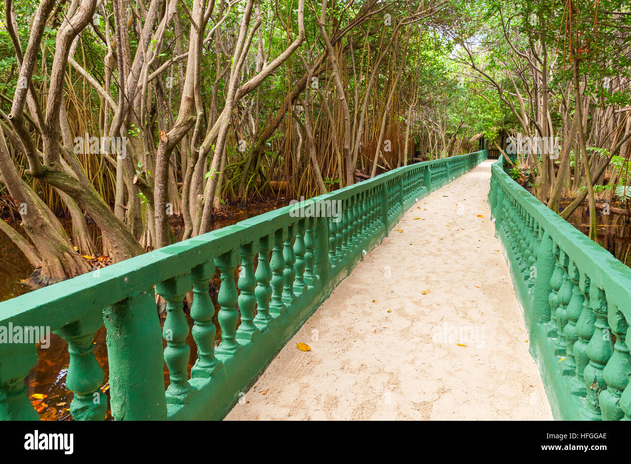 Mangrove bridge hi-res stock photography and images - Alamy