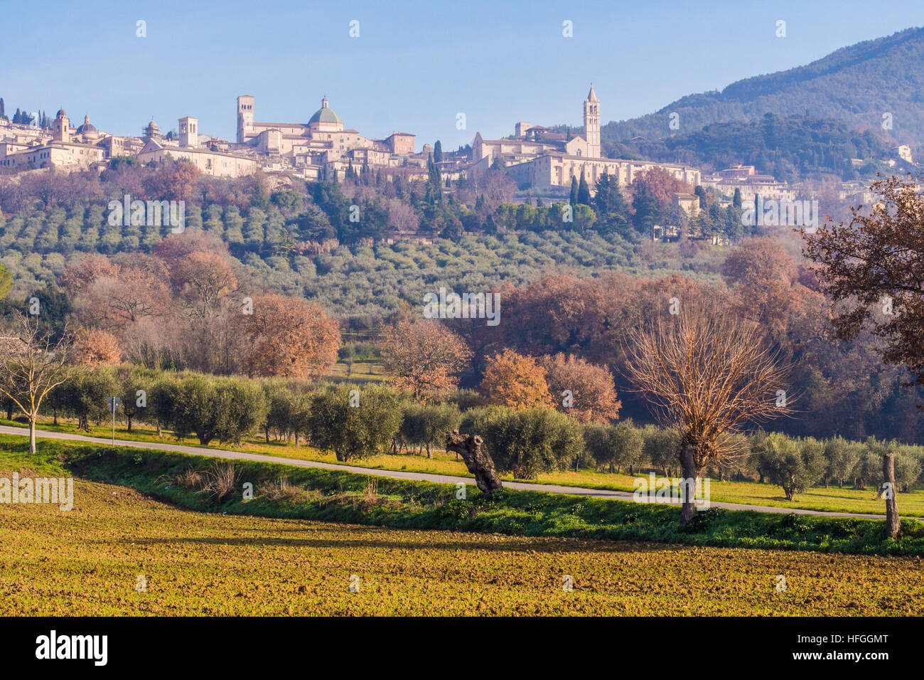 The town of Assisi in the Perugia province of Umbria, Italy. Birthplace ...