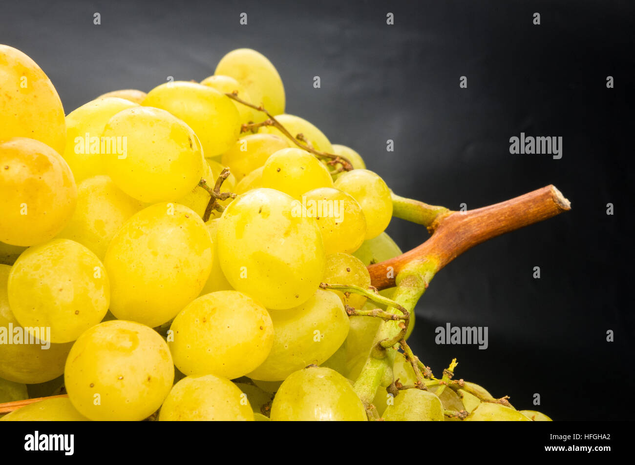 Large grapes cluster amber color on black background Stock Photo - Alamy