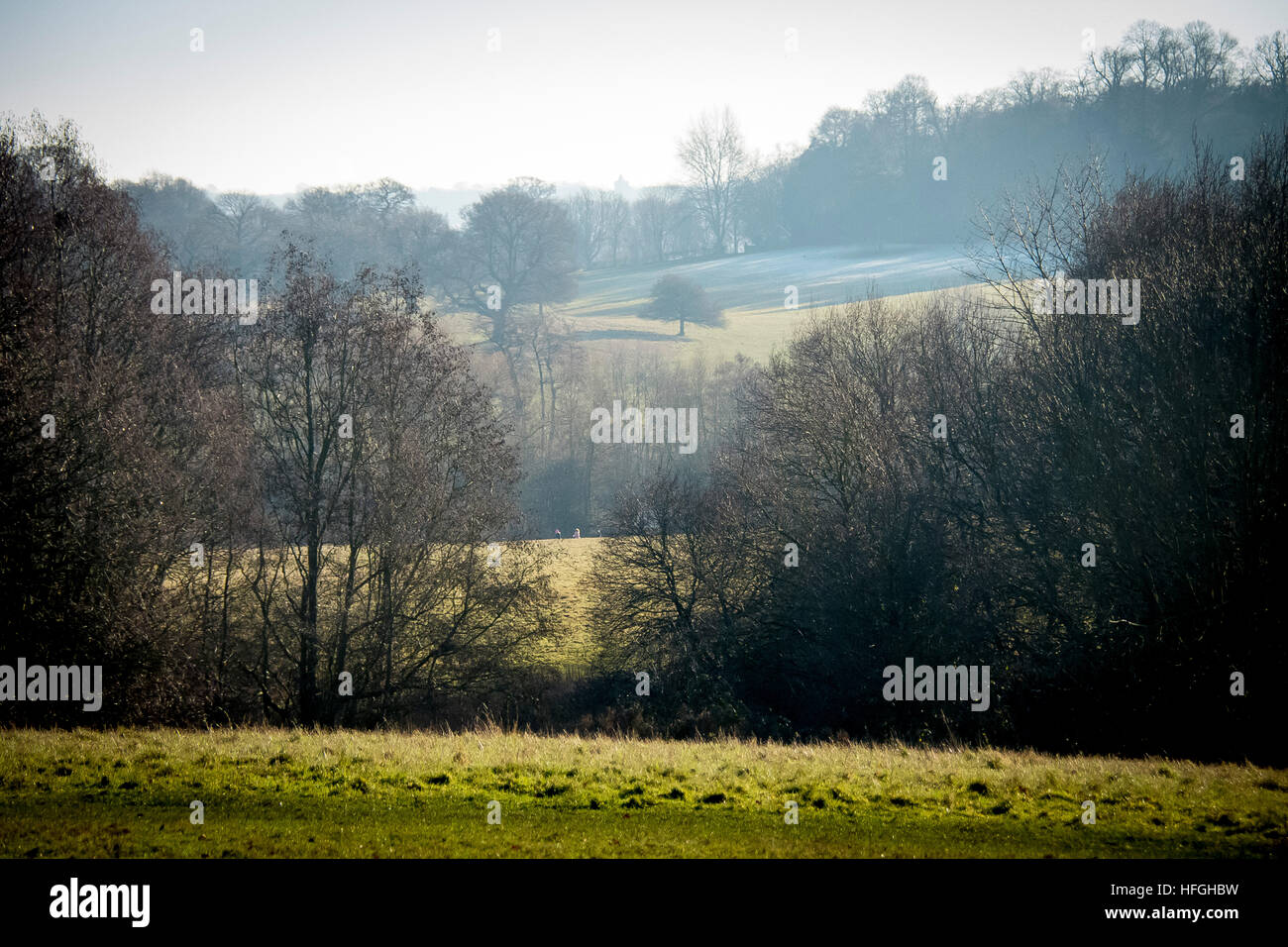 Weald County Park in Brentwood Stock Photo - Alamy