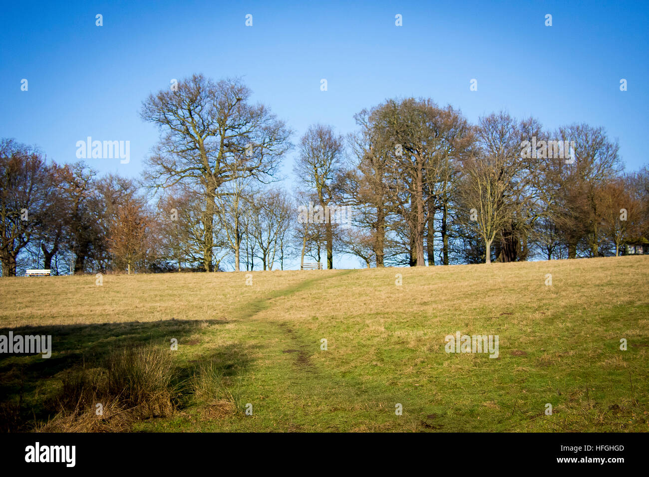 Weald County Park in Brentwood Stock Photo - Alamy