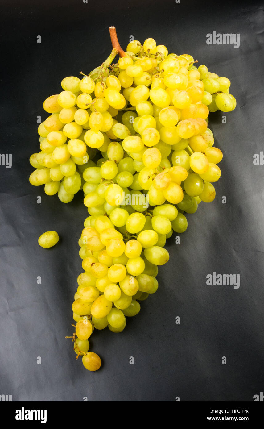Large grapes cluster amber color on black background Stock Photo - Alamy