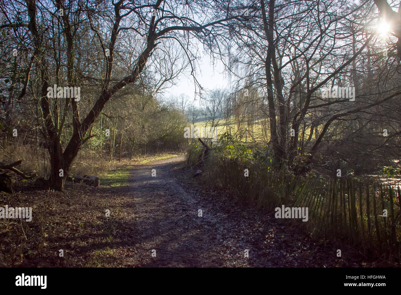 Weald County Park in Brentwood Stock Photo - Alamy